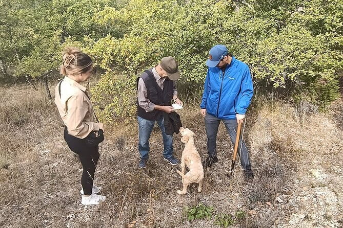 Truffle hunting experience with lunch and Chianti wine tasting - Who Will Love This Tour?