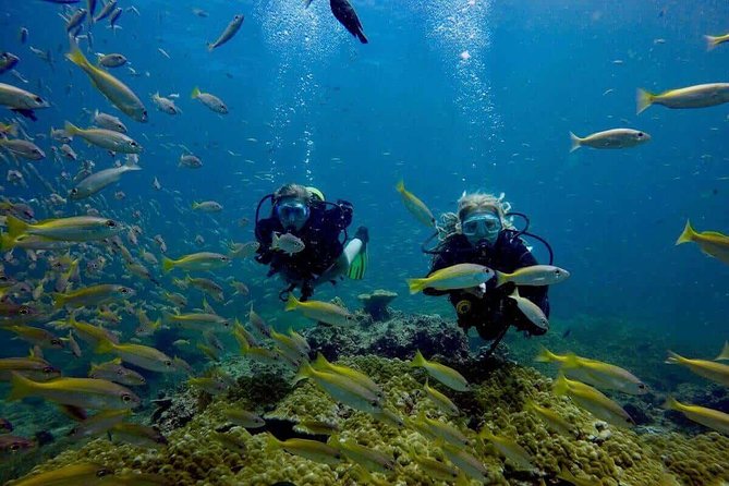 Try Scuba Diving - Final Thoughts