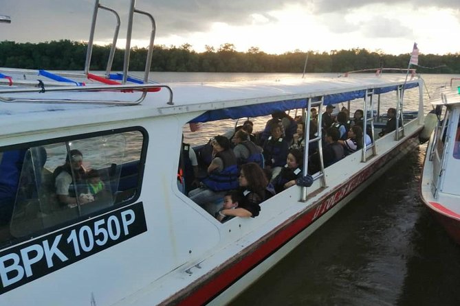 Twinkling Kuala Selangor Firefly Boat Tour from Kuala Lumpur - Real Traveler Insights
