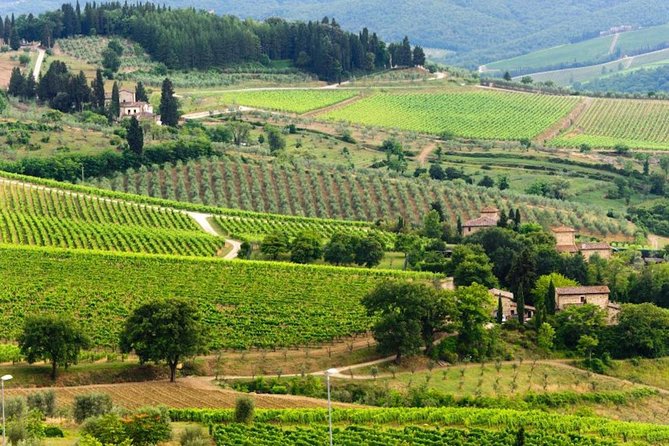 Two days of Tuscany discovering the Nobile, Brunello, Chianti area - Authentic Experiences and What Travelers Say