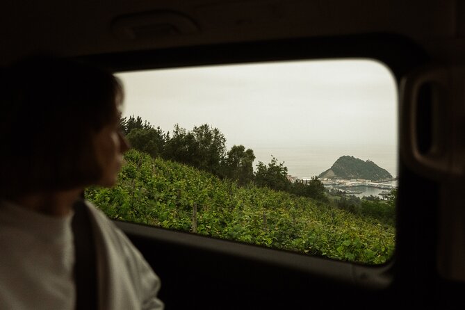 TXAKOLI vineyards HIKE, ZUMAIA and GETARIA - Private Outdoor & Gastronomic Tour - Visit to Gaintza Txakolina: Small-Scale Wine Innovation