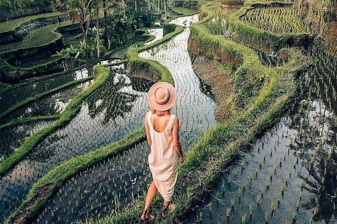 Ubud Highlights -Private Tour,Temples, Waterfalls & Rice terraces - Who Should Book This Tour?