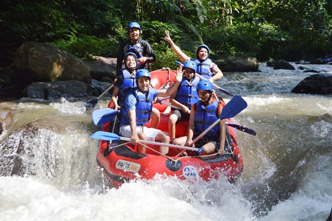 Ubud Rafting - Rice Terrace - Tegenungan Waterfall - Tanah Lot Sunset Temple - The Practicalities: What’s Included and What’s Not