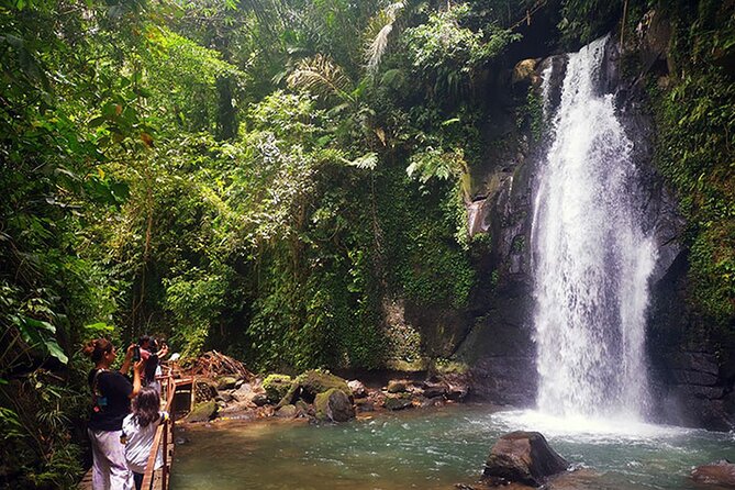 UBUD Spring Temple, Waterfall, Rice Terraces Private Tour - Practical Details & What You Should Know