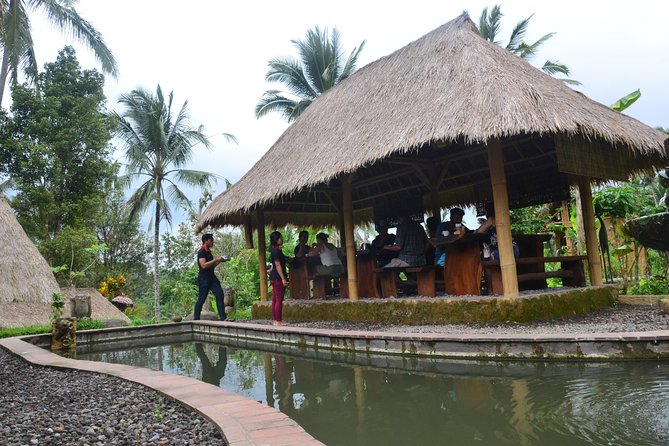 Ubud Village Sightseeing, Famous Paddy Field And Ubud Waterfall - The Sum Up