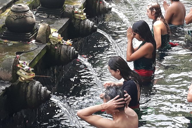Ubud Waterfall Swing And Spring Temple Private Guided Tour - The Experience of Travel