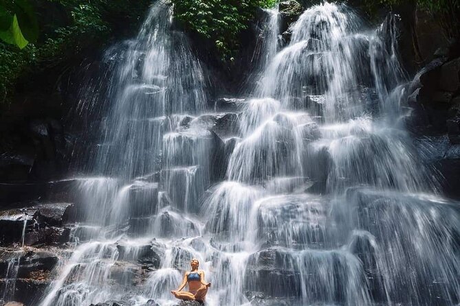 Ubud Waterfalls, Temple and Rice Terrace - Private Tour - What’s Included and What to Consider
