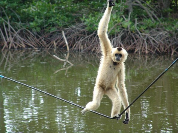 Vam Sat Mangrove Forest - VIP Private Tour from Ho Chi Minh City - Who Should Consider This Tour?