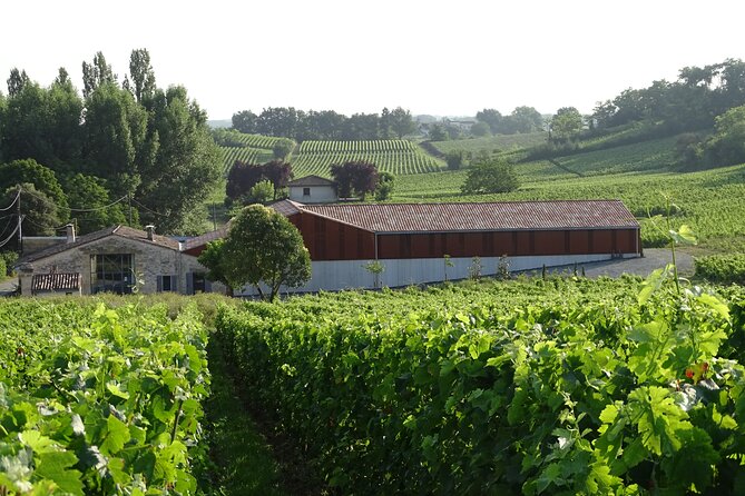 Verres-Tigineux workshop and tasting in Saint-Émilion - Who Should Consider This Experience?