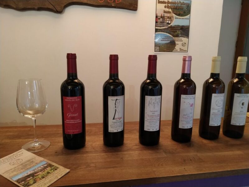vingrau : wine tasting - The Food Pairings: Enhancing Flavors with Thoughtfulness
