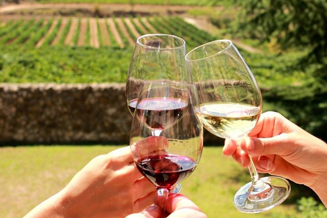 Vinyard Tour By Horse & Carriage With Delicious Tasting - Umbria - What to Expect on the Tour