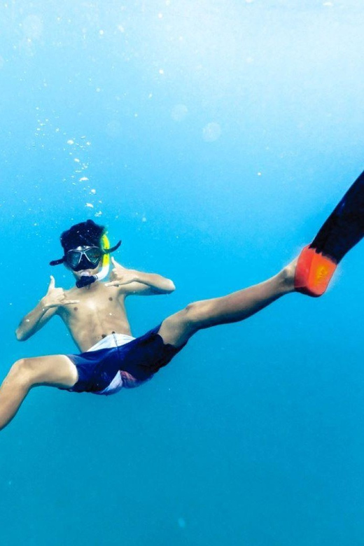 Waikiki: Midday Snorkel - Who Is This Tour Best For?