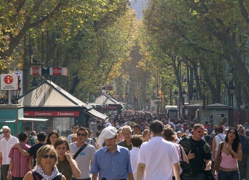 Walking Tour on Barcelona Old Town 3-Hour - An In-Depth Look at the Walking Tour Experience