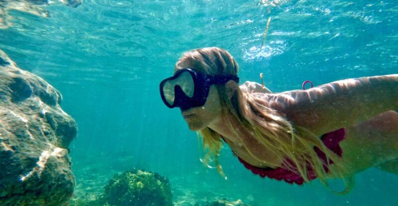 West Palm Beach: Beginner Snorkel Tour with Turtles & Videos - The Value and Practical Considerations