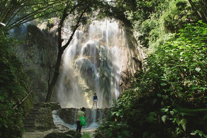 Whale Shark Encounter and Tumalog Waterfalls Tour - Final Thoughts: Is It Worth It?