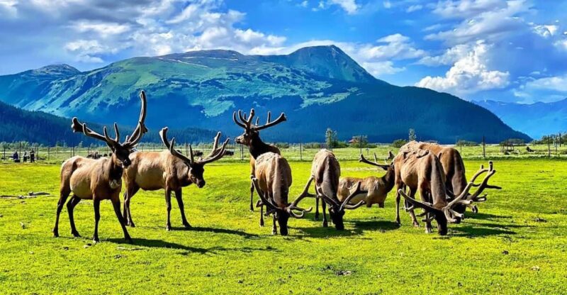 Wildlife Center with Lunch & Local Beer Sampling - What Makes This Tour Stand Out?