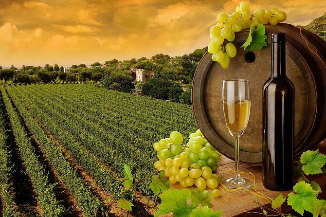 Wine Cheese and EVO Oil Tastings in Tuscany Full-Day from Rome - The Sum Up