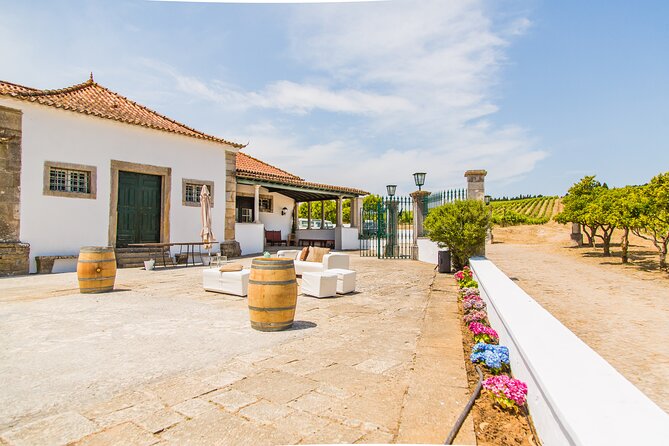 Winery, Tastings & 4WD Vineyards Ride, Half Day Trip from Lisbon - The Real Advantages: What Travelers Appreciate Most