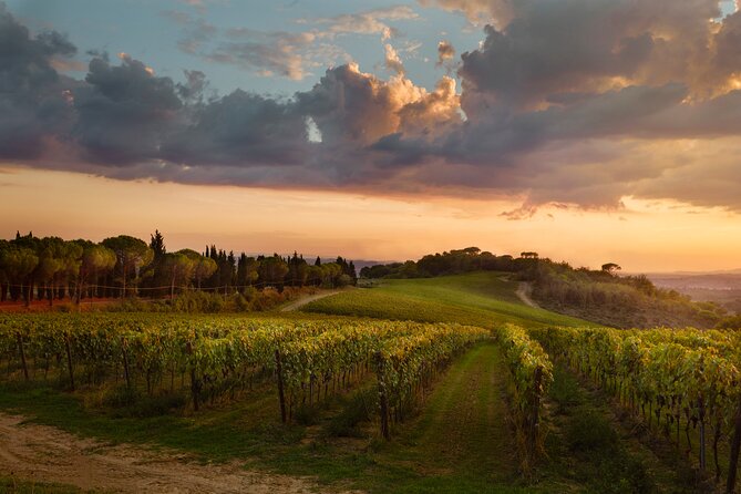 Winery tour and wine tasting of organic Chianti wines and extra virgin oil - Final Thoughts