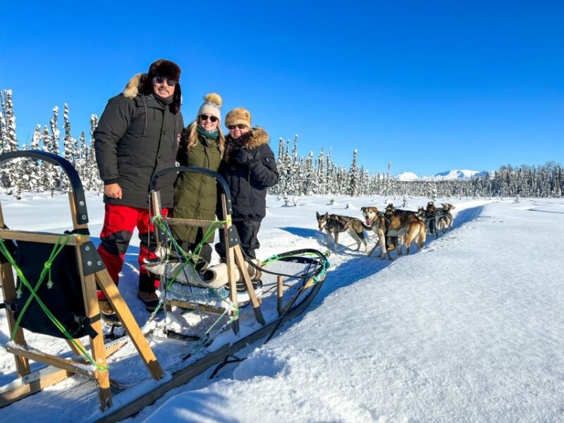 Winter Dog Sled Tour Day or Night Mush! - Analyzing the Cost & Value