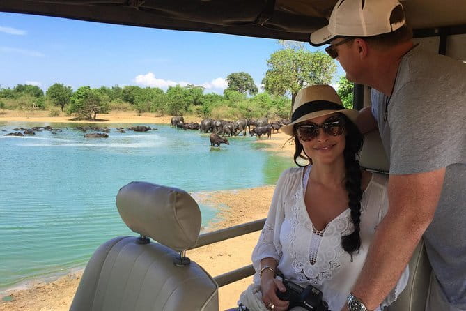Yala Safari Day Trip from Ella/ Tangalle/ Dikwella/ Hambantota - What the Itinerary Looks Like