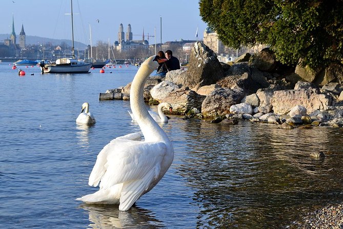 Zurich and Surroundings PRIVATE TOUR Including Panoramic Views - What’s Not Included