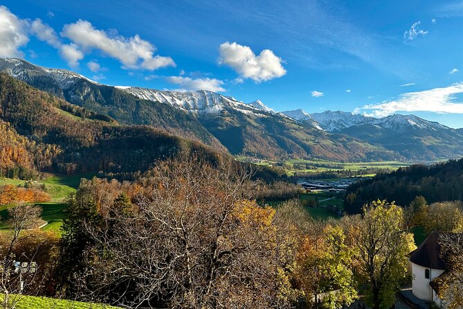Zurich Private Tour - Gruyères, Cheese, and Lavaux's UNESCO Wine - Is It Worth the Price?