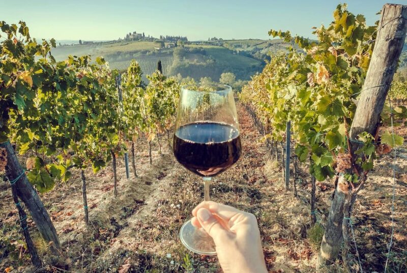 3 Chianti Wineries Private Tour from Florence or Siena - Exploring the 3 Chianti Wineries Private Tour from Florence or Siena