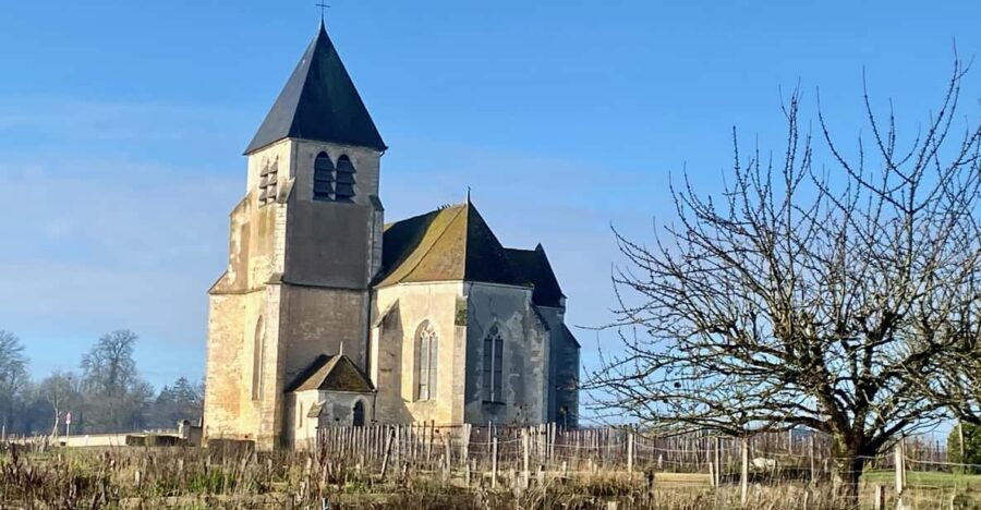 3-Day Castles, Champagne & Chablis Wine tasting Private Tour - Champagne: The Sparkling Crown Jewel