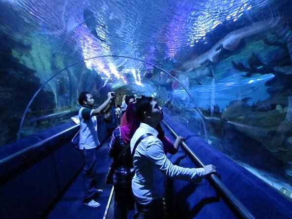 3 Days Private Vehicle With Driver -Explore Malaysia By Your Own Plans - Exploring Malaysia with a 3-Day Private Vehicle and Driver