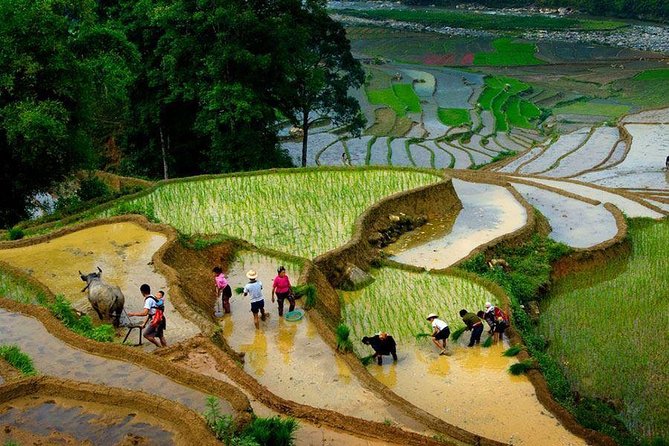 3 Days SAPA Real Experience at Local People House - Transportation and Comfort