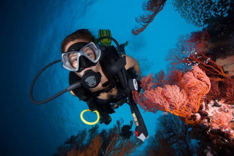3 Fun Dives for Certified diver at Racha Yai/Noi - Key Points