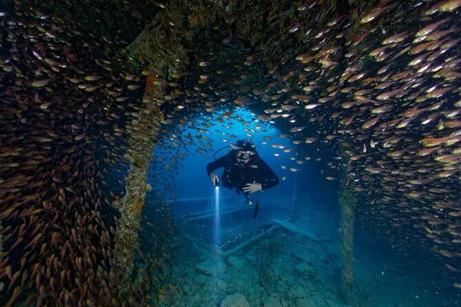 3 Fun Dives King Cruiser Wreck and Koh DokMai for Certified diver - An Overview of the Tour Experience