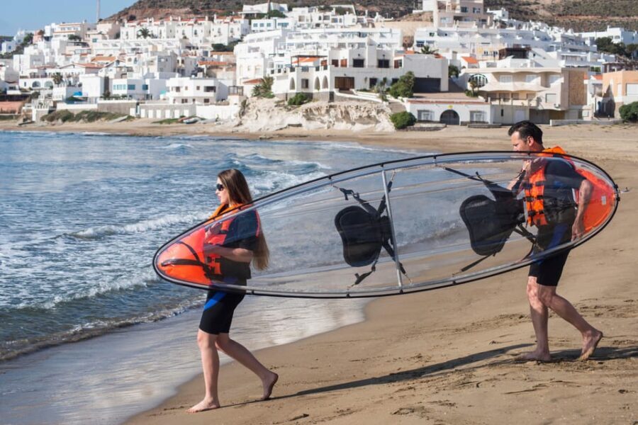 3 Hours Guided Tours in Transparent Kayaks - The Experience in Detail