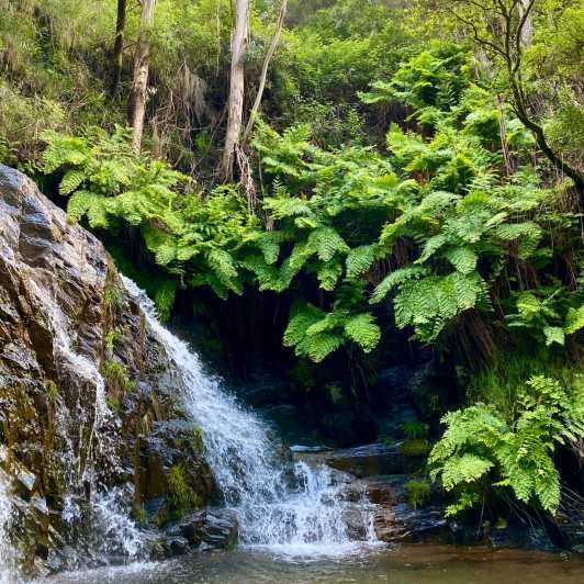 30 minutes from Porto: Waterfalls, Hiking and Picnic - An In-Depth Look at the Experience