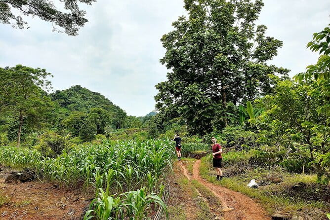 1 Day Ha Giang Loop Tour by Motorbike with Easy Rider - FAQs About the 1-Day Ha Giang Loop Tour