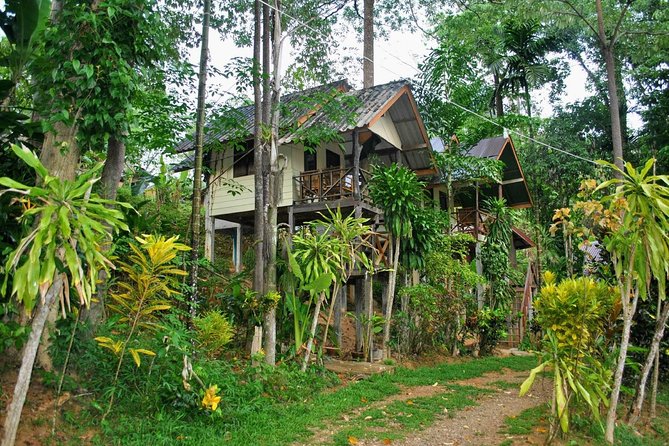 1 Day Khao Sok Jungle Safari and 2 Days Cheow Lan Lake Explorer from Krabi - Summary: Why This Tour Is a Solid Choice