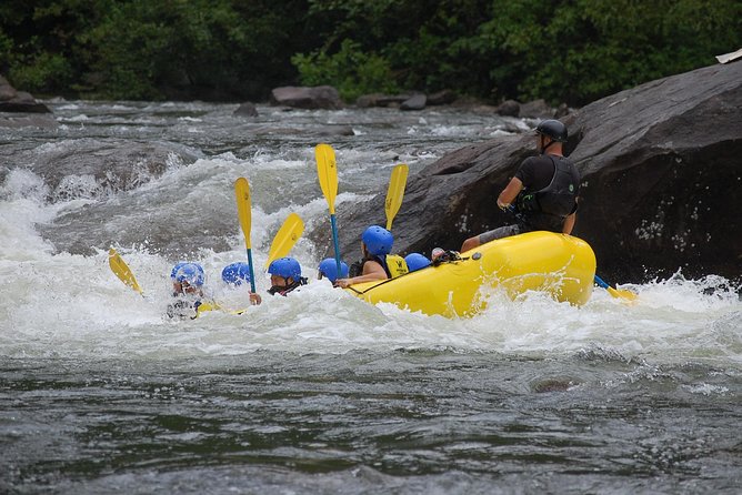 1 Day Trishuli Rafting from Pokhara - What We Love and What to Consider
