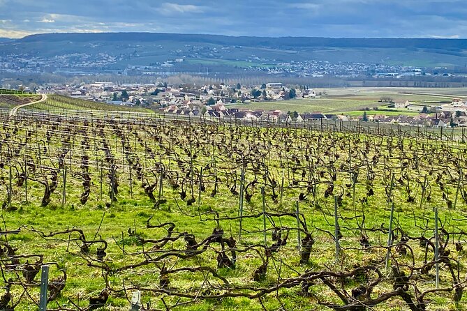 2-day Burgundy 4 Domains, Champagne Moet, Veuve Clicquot Private - Who Is This Tour Best For?