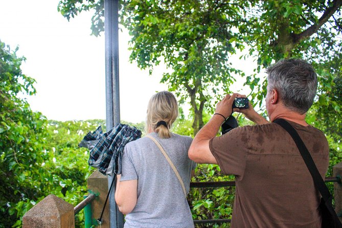 2-Day Cu Chi Tunnels & Mekong Delta - Cai Rang Floating Market - Day 2: The Heart of the Mekong and Return to Ho Chi Minh City