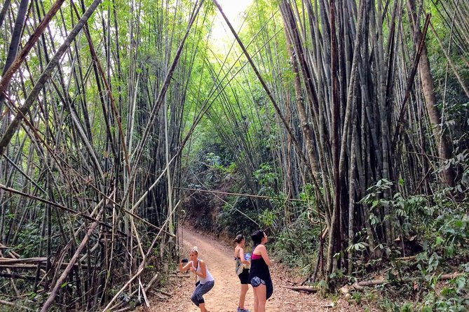 2-Day Khao Sok Jungle Safari from Krabi - Final Thoughts: Is This Tour Worth It?