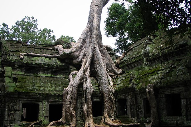 2 Days Angkor Wat Tranquility Tour - Thorough Breakdown of the Itinerary