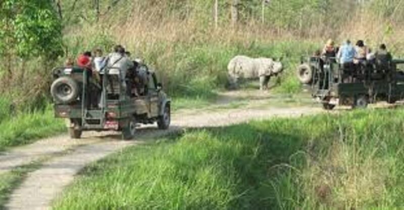 2 N 3 Days Chitwan tour package from Pokhara or Kathmandu - What Makes This Tour Stand Out
