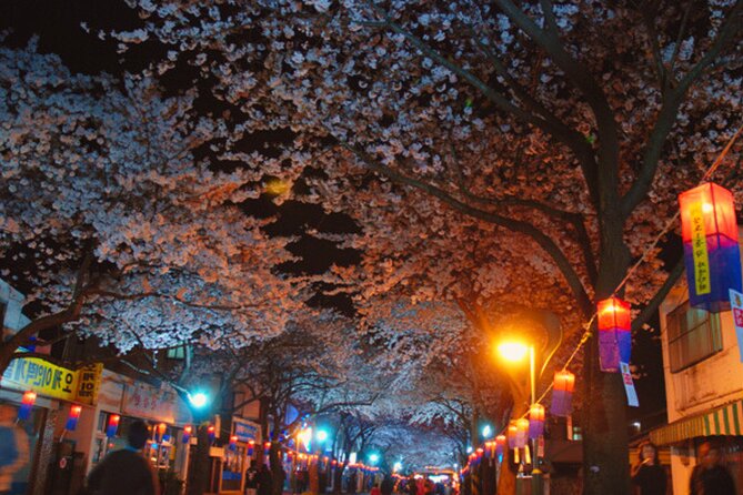 2025 Cherry Blossom East Day Tour in Jeju with UNESCO - Practicalities and Tips
