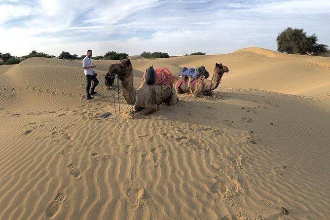 3-Day Jaisalmer Tour From Jodhpur - Who Should Consider This Tour?