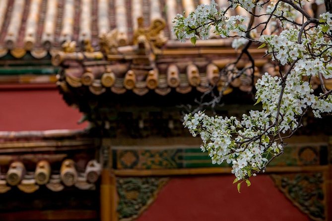 3-Day Private Beijing Tour with Forbidden City, Great Wall, Hutong and Lunch - Final Thoughts