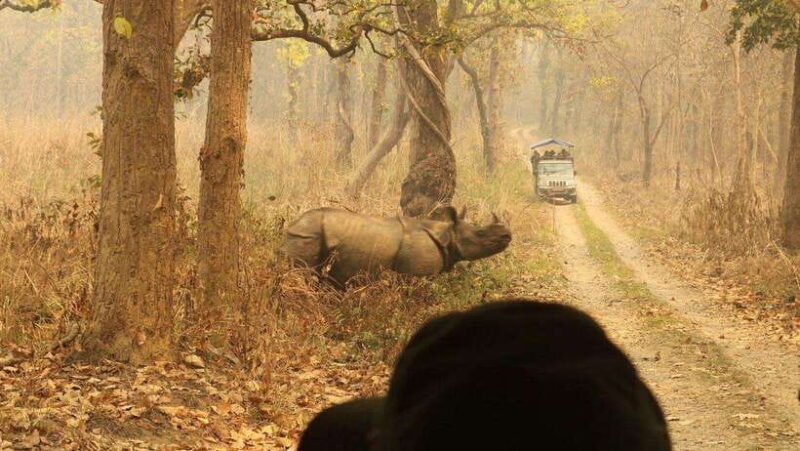 3 Days Chitwan Safari - Day 2: Canoe Ride, Jungle Trek, and Safari