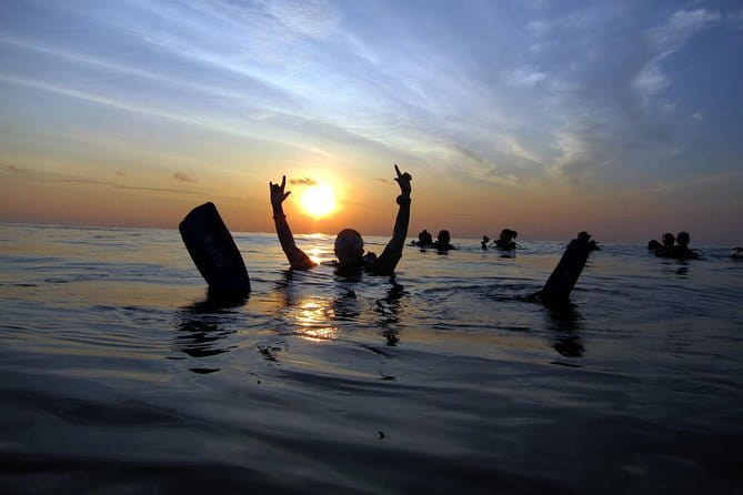 3 Fun dives in Phi Phi islands for Certified Divers - The Sum Up