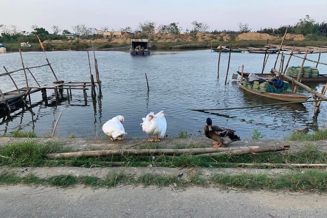 3 Hours Motorbike Tour in Hoi An Countryside. - Authenticity and Personal Touch