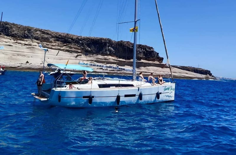 3h Whale Watching Private Tour Costa Adeje Lina7 Mizendoha - Comfort and Convenience